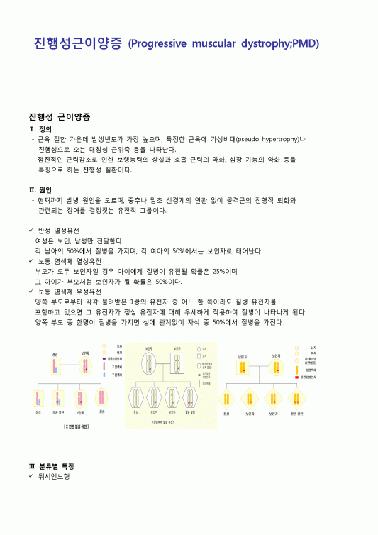 진행성근이영양증 PMD