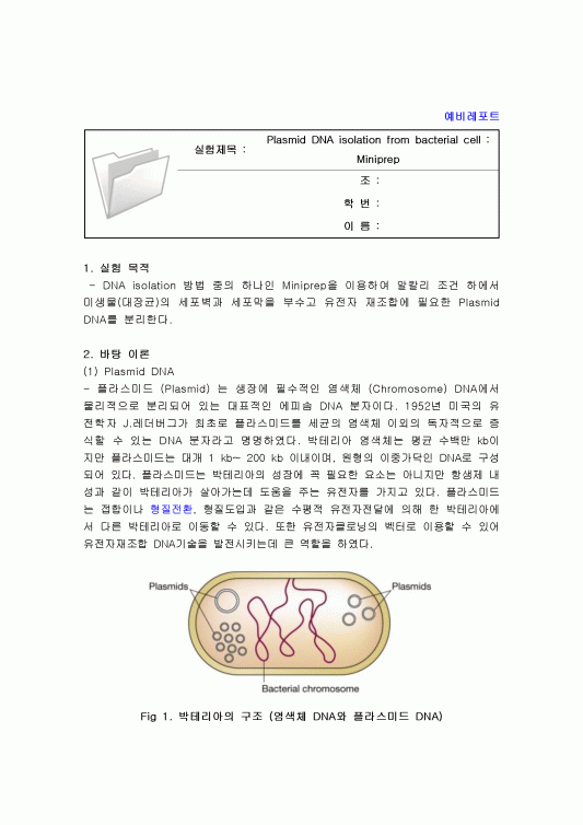 Plasmid DNA isolation from bacterial cell_Miniprep_예비레포트