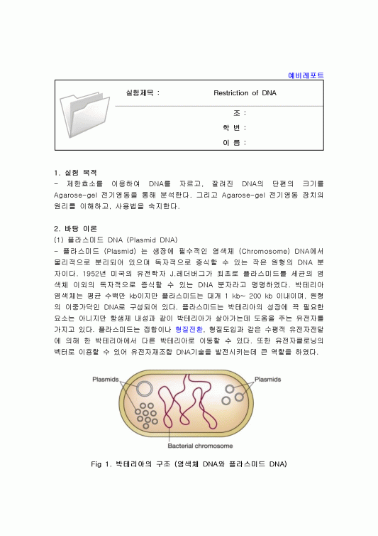 제한효소를 이용한 Restriction of DNA_예비레포트