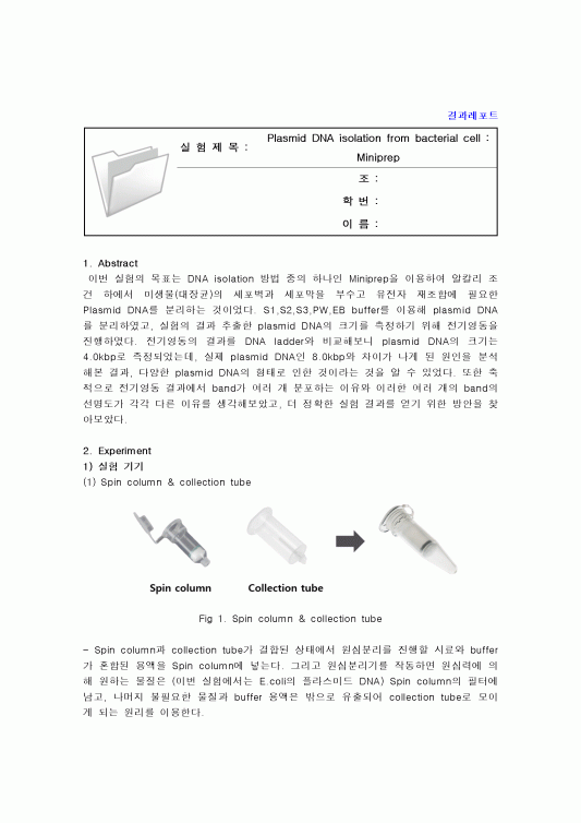 Plasmid DNA isolation from bacterial cell_Miniprep_결과레포트