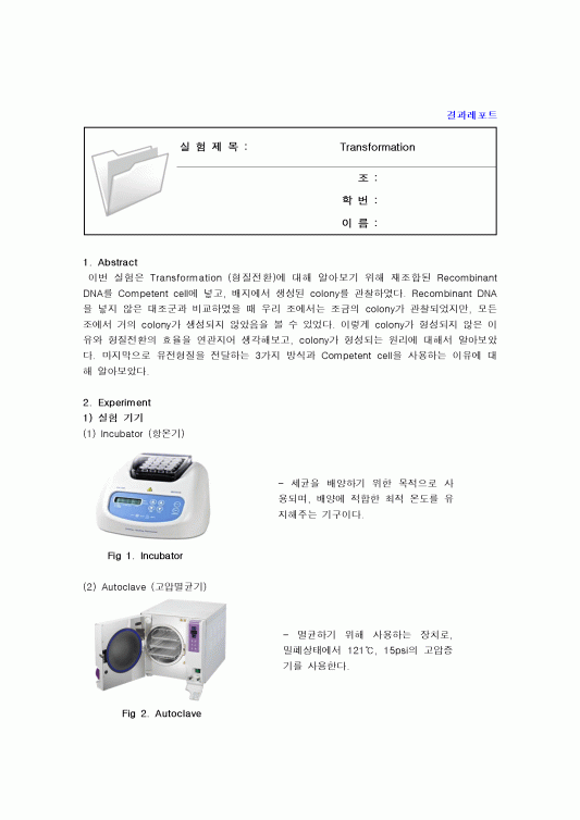 형질전환 실험_Transformation_결과레포트