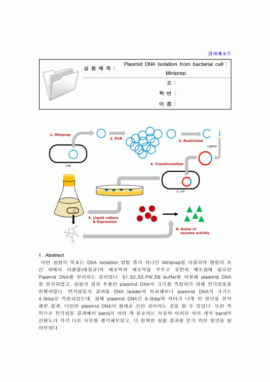 생물화학공학이론및 실험_ Miniprep_PCR_Restriction_Transformation_Liquid culture_Enzyme activity 전 실험 과정 통합 실험 과정_ 결과레포트