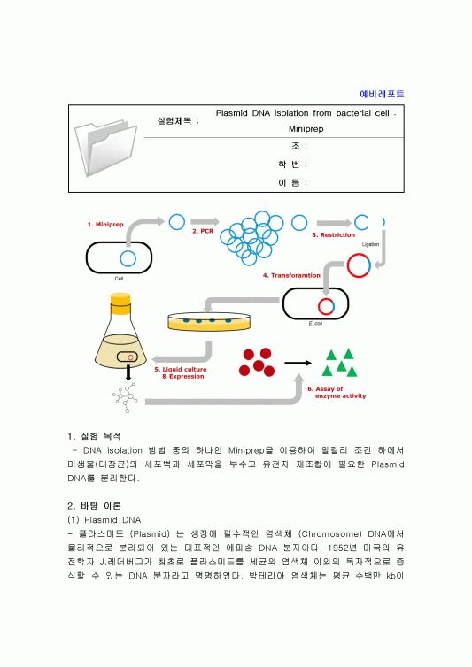 생물화학공학이론및 실험_ Miniprep_PCR_Restriction_Transformation_Liquid culture_Enzyme activity 전 실험 과정 통합 이론_ 예비레포트