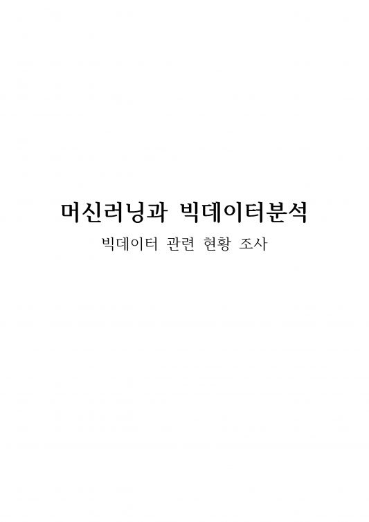 빅데이터 현황조사 레포트