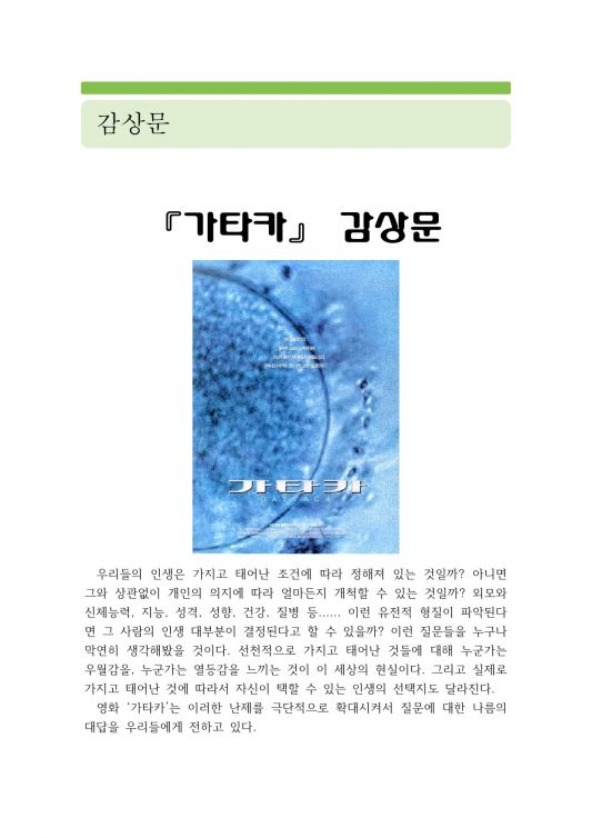 가타가 감상문
