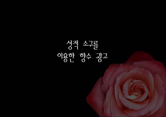 [광고홍보] 성적 소구를 이용한 광고에 대한 분석 및 개선방향