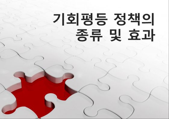 기회평등 정책의 종류 및 효과