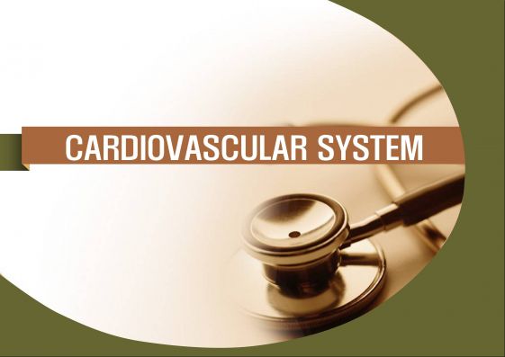 [해부학] 심혈 관계(Cardiovascular System) 용어 정의 및 분석