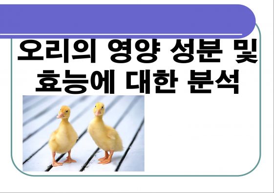 [식품과 영양] 오리의 영양 성분 및 효능에 대한 분석