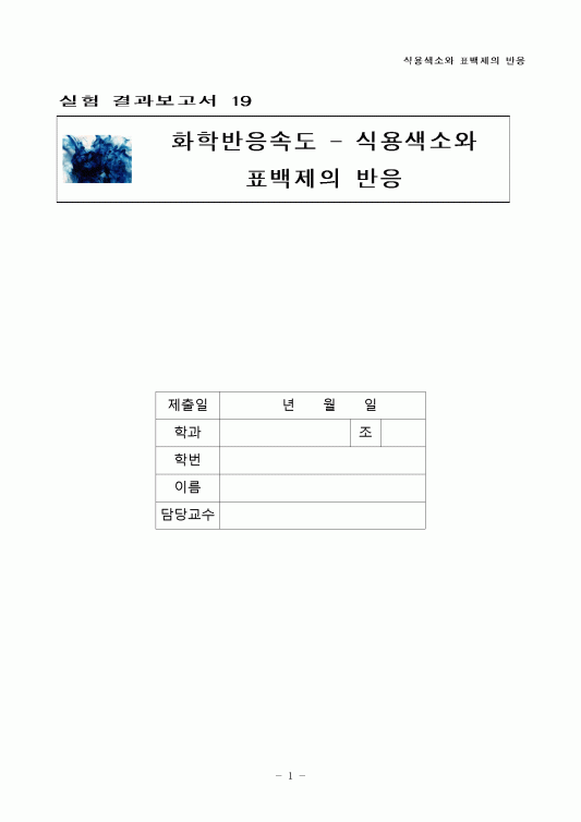 [일반화학실험] 식용색소와 표백제의 반응 실험 결과보고서
