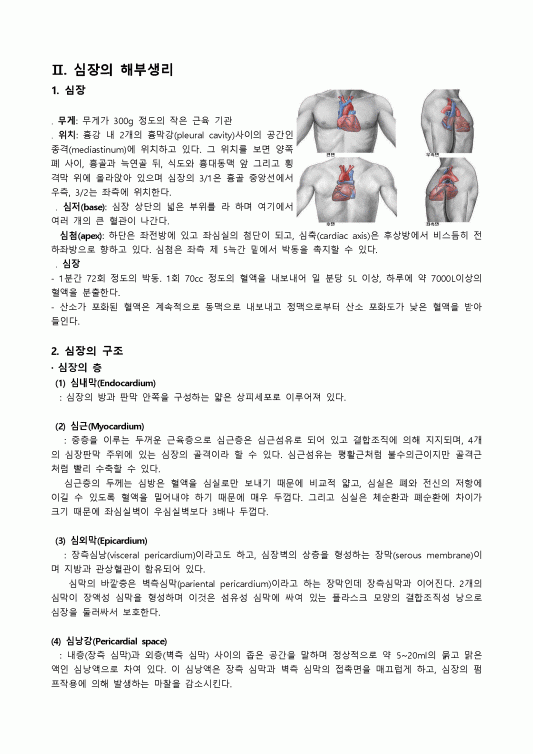 심장 공부하기 2