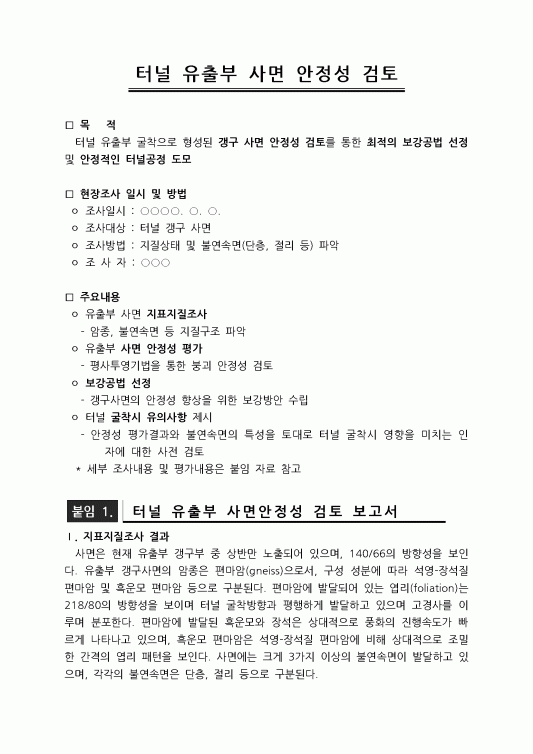 터널 유출부 사면 안정성 평가 사례 (지표지질조사, 보강공법, 굴착 유의사항 포함)