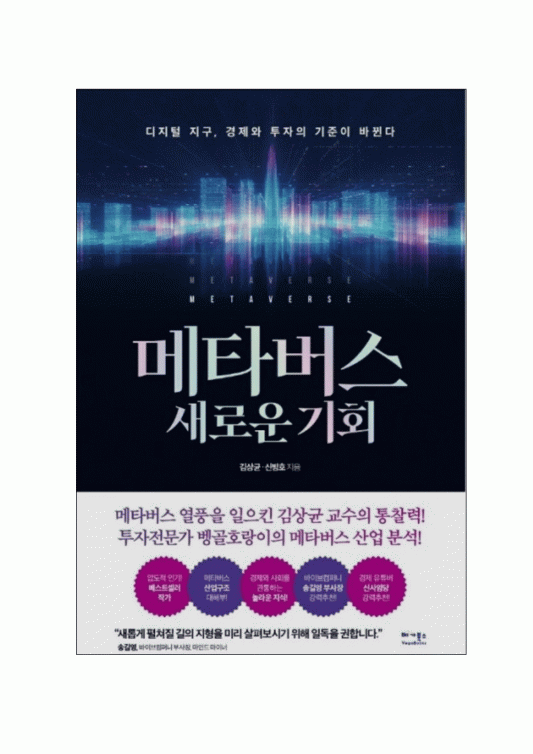 메타버스 새로운 기회 독후감