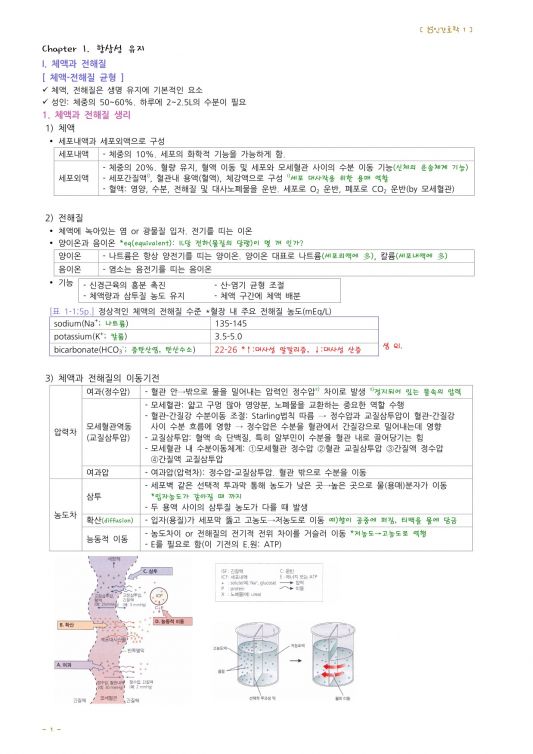 필기 정리-성인간호학(상)