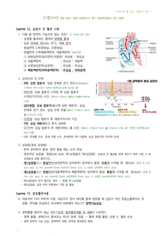 정리-건강사정및실습기말