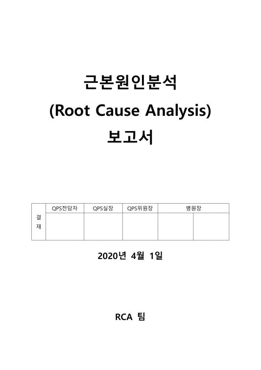 RCA보고서docx 레포트 자료