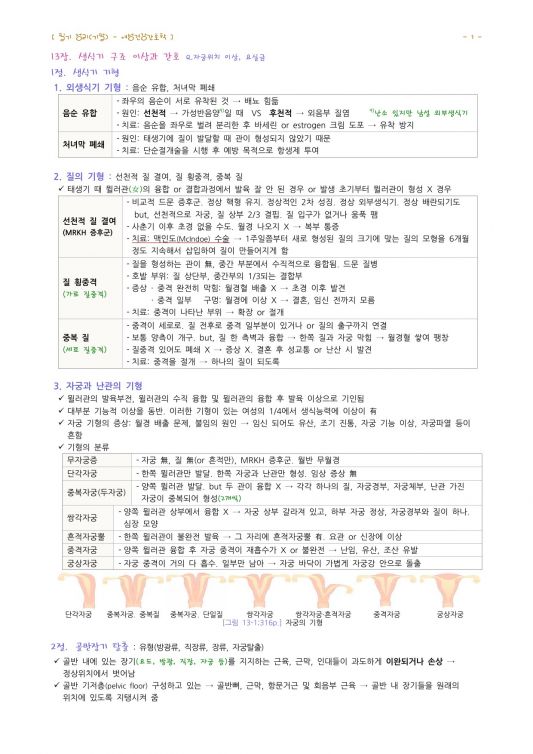여성건강간호학 - 생식기 구조 이상, 생식기 질환 치료에 따른 간호, 난임 부부의 건강문제와 간호