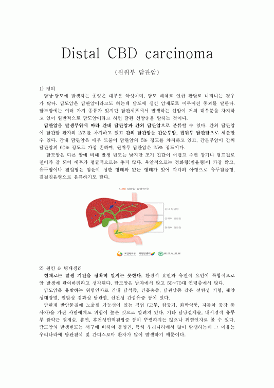 원위부 담관암(distal CBD carcinoma) 성인간호학 질환보고서