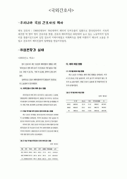 국외간호사 진로탐구 간호학과 과제