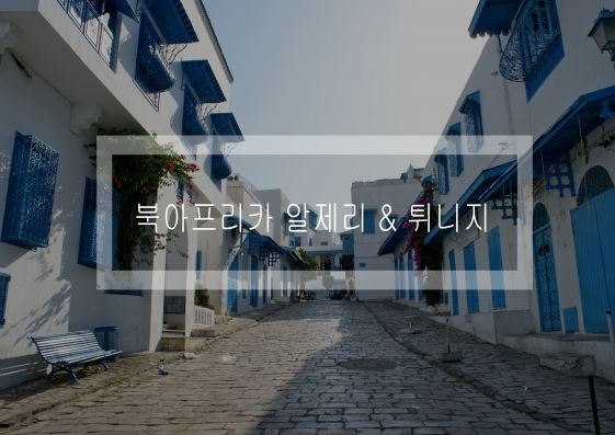 ppt 알제리와 튀지니의 관광