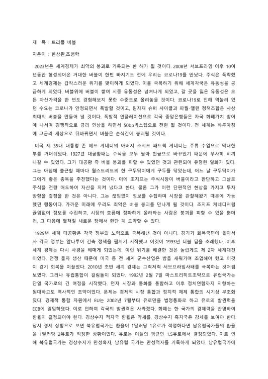 트리플 버블 레포트 자료