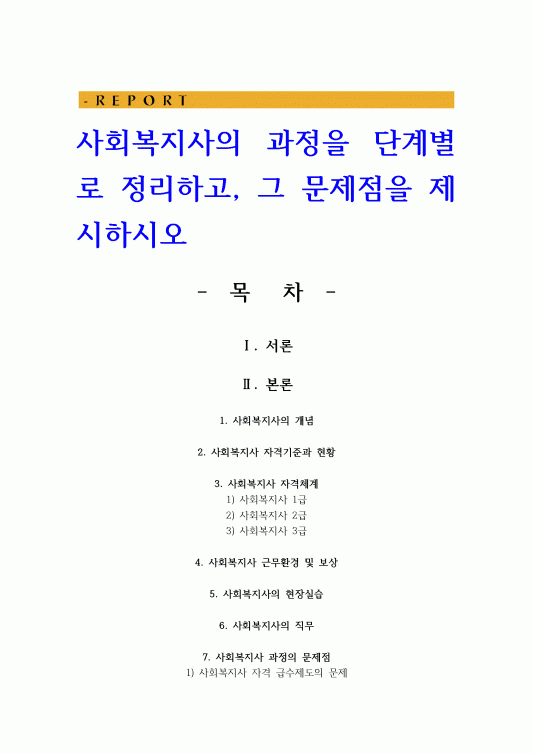 사회복지사의 과정을 단계별로 정리하고, 그 문제점을 제시하시오