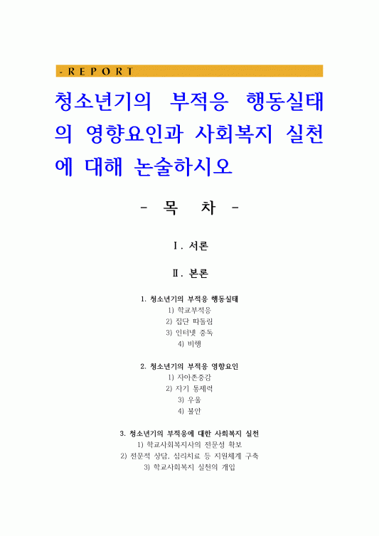 청소년기의 부적응 행동실태의 영향요인과 사회복지 실천에 대해 논술