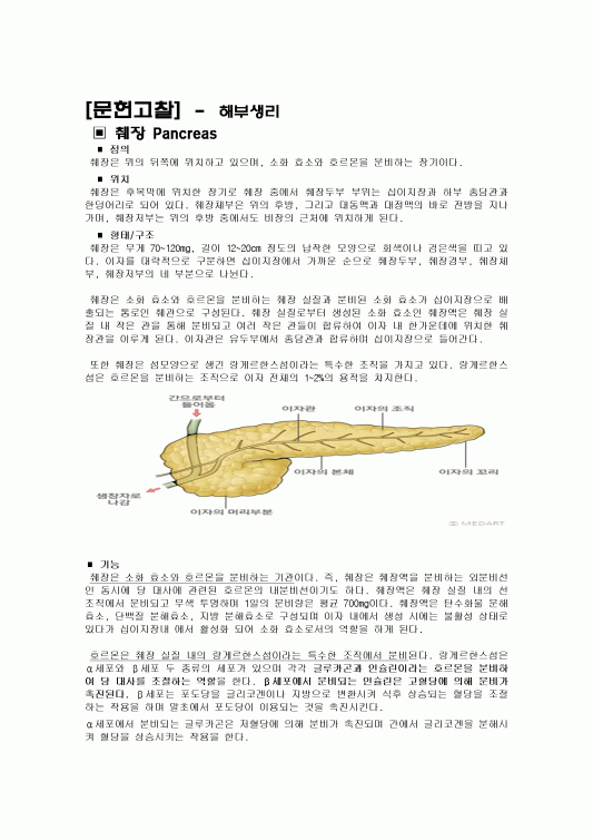췌장염(Pancreatitis) 문헌고찰