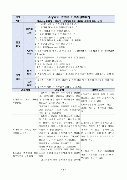 소양감과 관련된 피부손상위험성(간호진단 및 간호과정 1개)