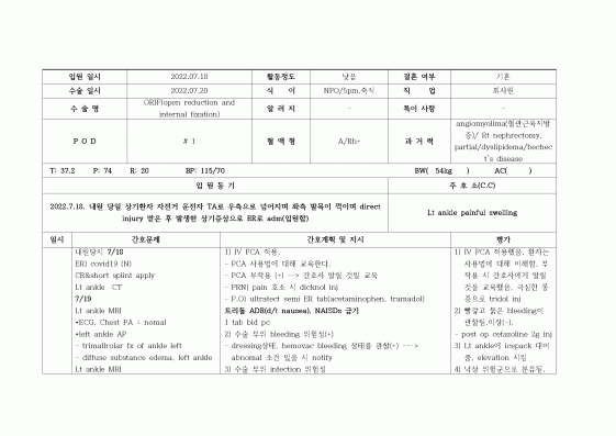 발목골절 카덱스[성인간호학실습]