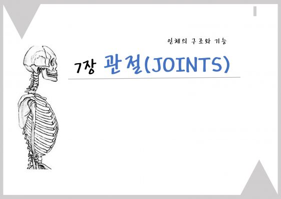 인체 구조와 기능 - 관절계통 PPT 자료