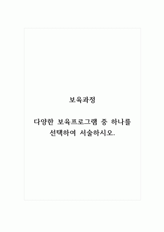 보육과정_다양한 보육프로그램 중 하나를 선택하여 서술하시오.