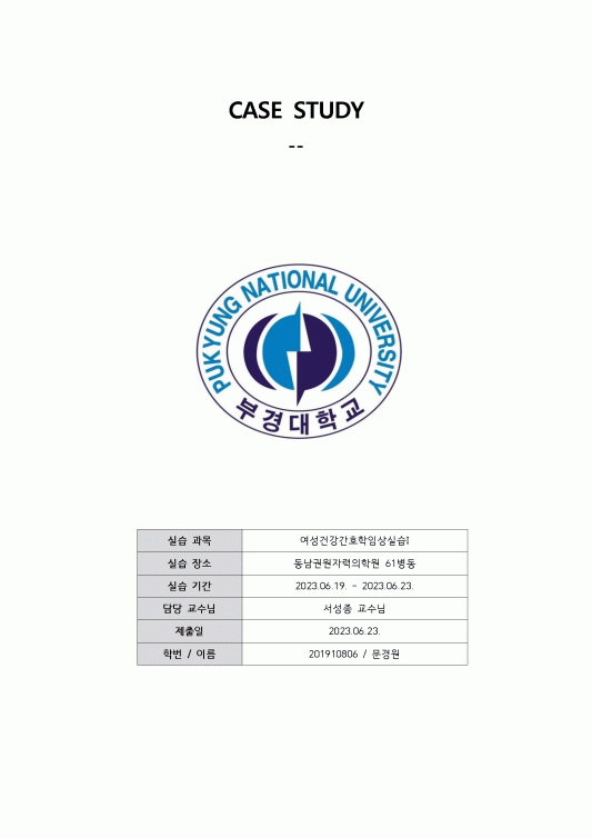 케이스 양식 레포트 자료