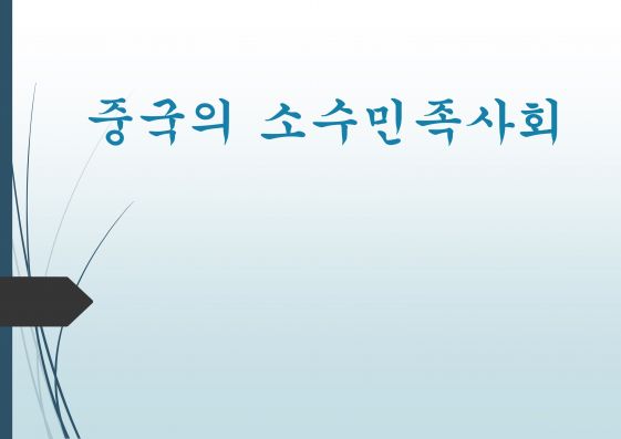 중국의 소수민족사회 PPT