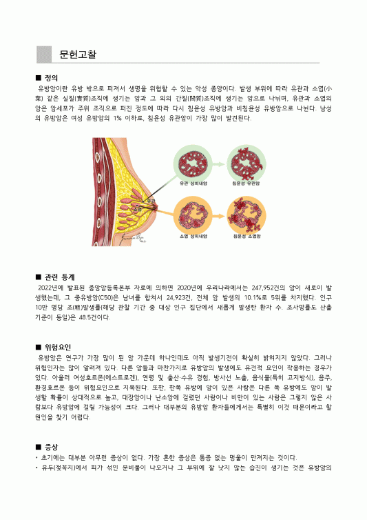 유방암 간호과정