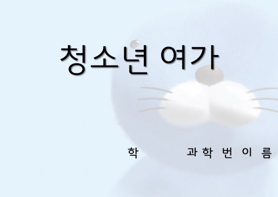 청소년여가 보고서