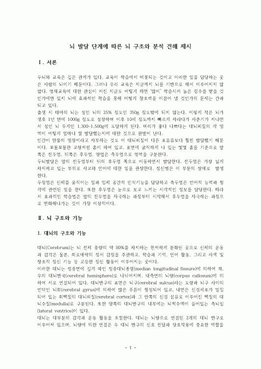 뇌 발달 단계에 따른 뇌 구조와 분석 견해 제시