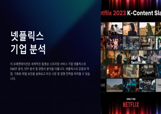 2024년 넷플릭스 기업분석 및 시장전망