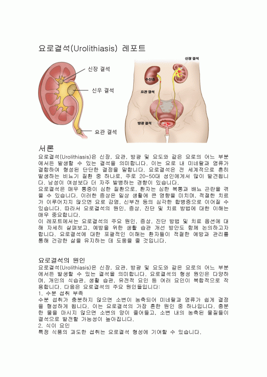 (성인간호)요로결석(stone) 케이스스터디, 레포트 간호진단 6개