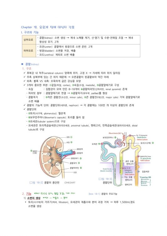 성인간호 필기정리(요로계)