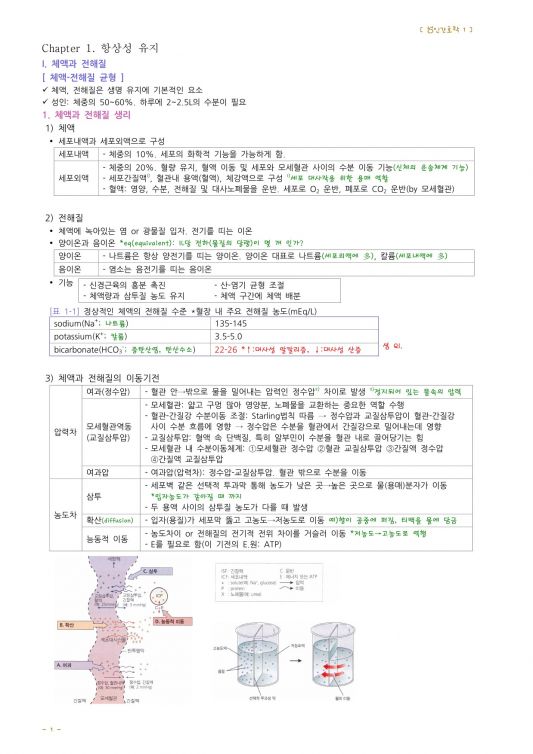 간호학과-성인간호 상하 노트정리(국시 준비)