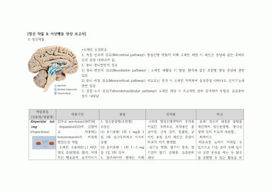 정신간호학 실습 정신약물 이상행동 양상 보고서