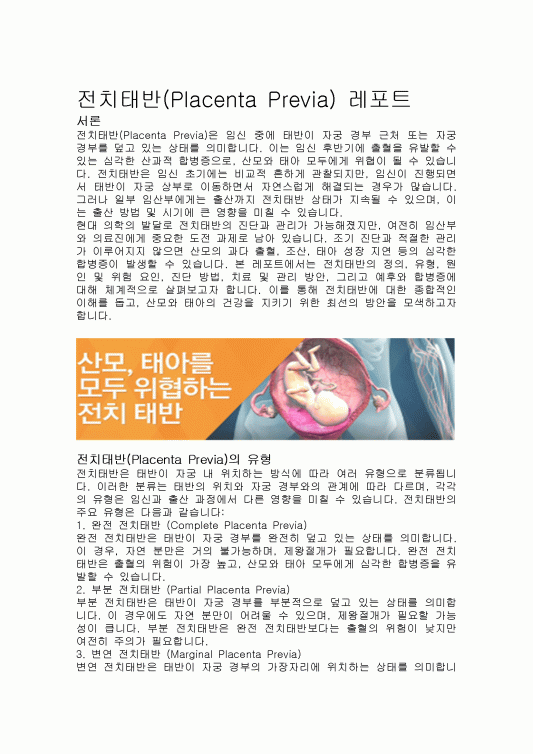 모성간호 전치태반 문헌고찰 및 간호진단 6개