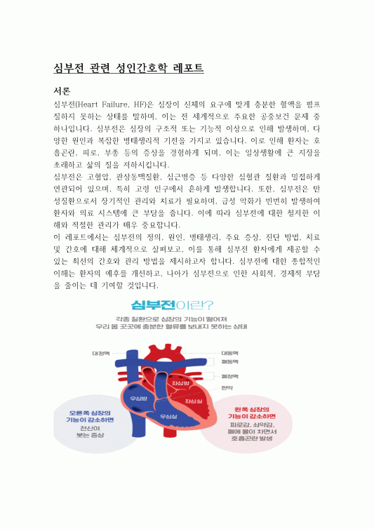 성인간호학 심부전 문헌고찰 및 간호진단 6개