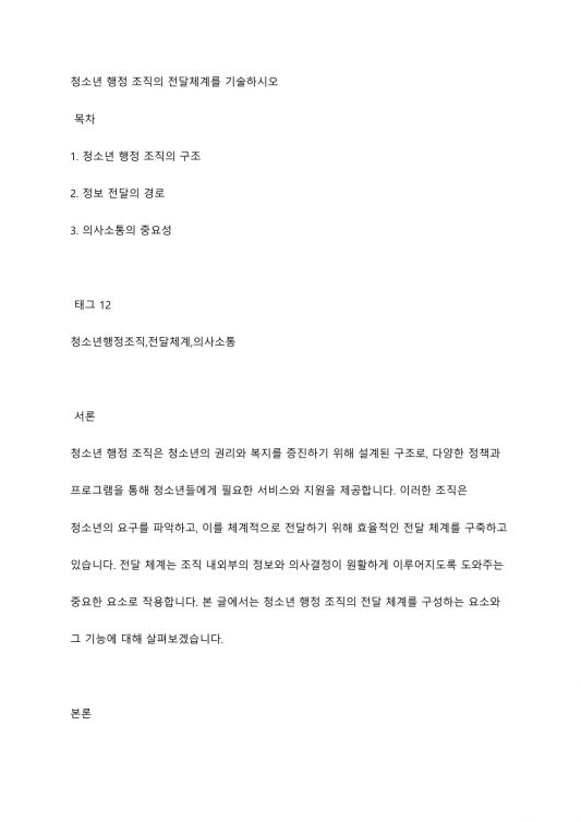 청소년 행정 조직의 전달체계를 기술하시오