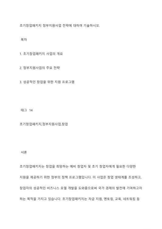 초기창업패키지 정부지원사업 전략에 대하여 기술하시오