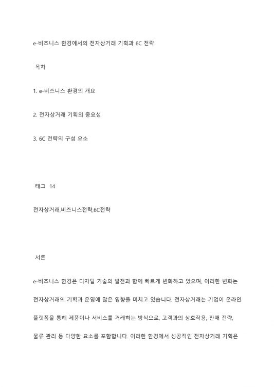 e-비즈니스 환경에서의 전자상거래 기획과 6C 전략