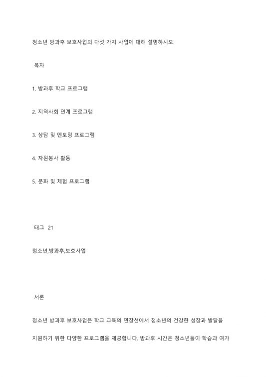 청소년 방과후 보호사업의 다섯 가지 사업에 대해 설명하시오