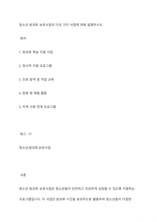 청소년 방과후 보호사업의 다섯 가지 사업에 대해 설명하시오
