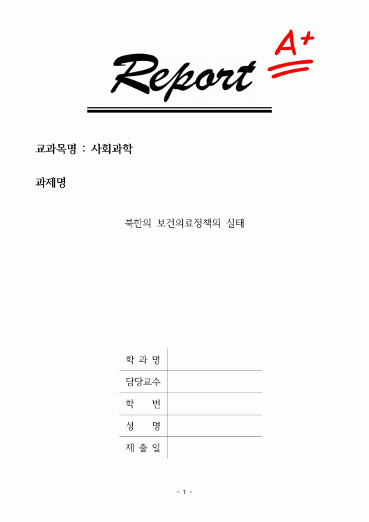 [Report] 북한의 보건의료정책의 실태